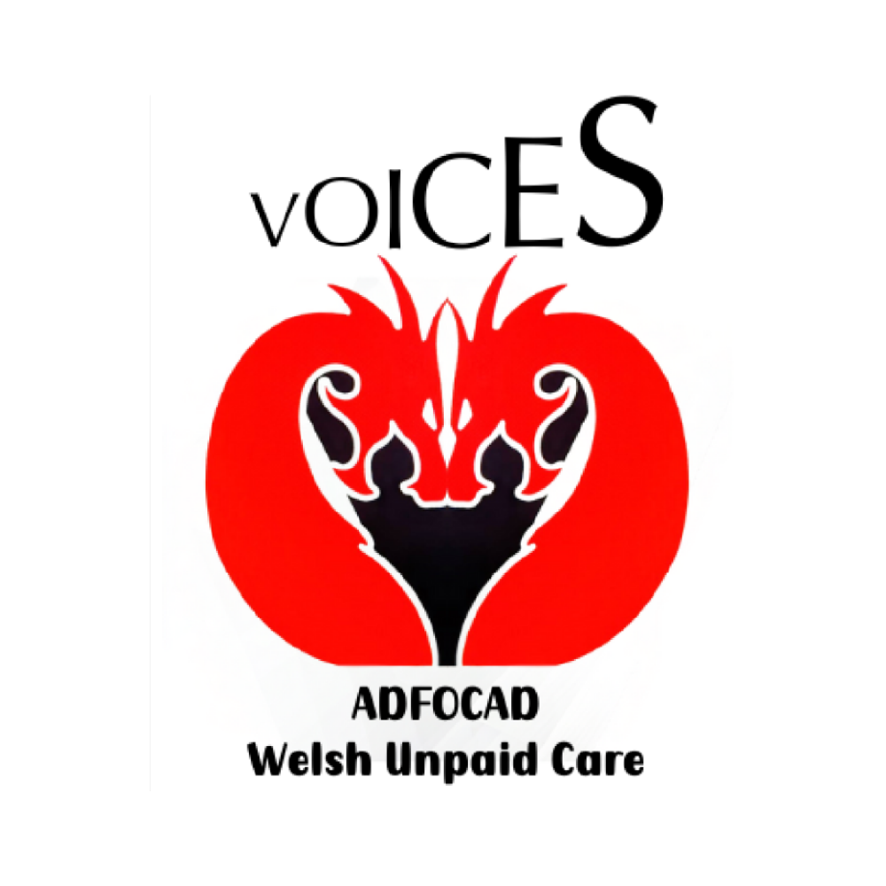 VOICES ADFOCAD launched | C3SC - Cardiff Third Sector Council