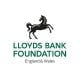Cyfle Cymru - Supporting Individuals in Cardiff | C3SC - Cardiff Third ...