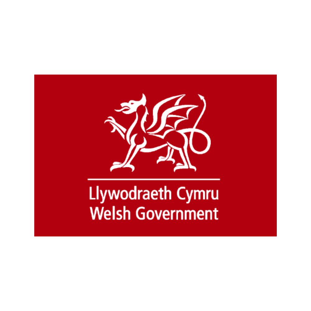 Welsh Government: News | C3SC - Cardiff Third Sector Council