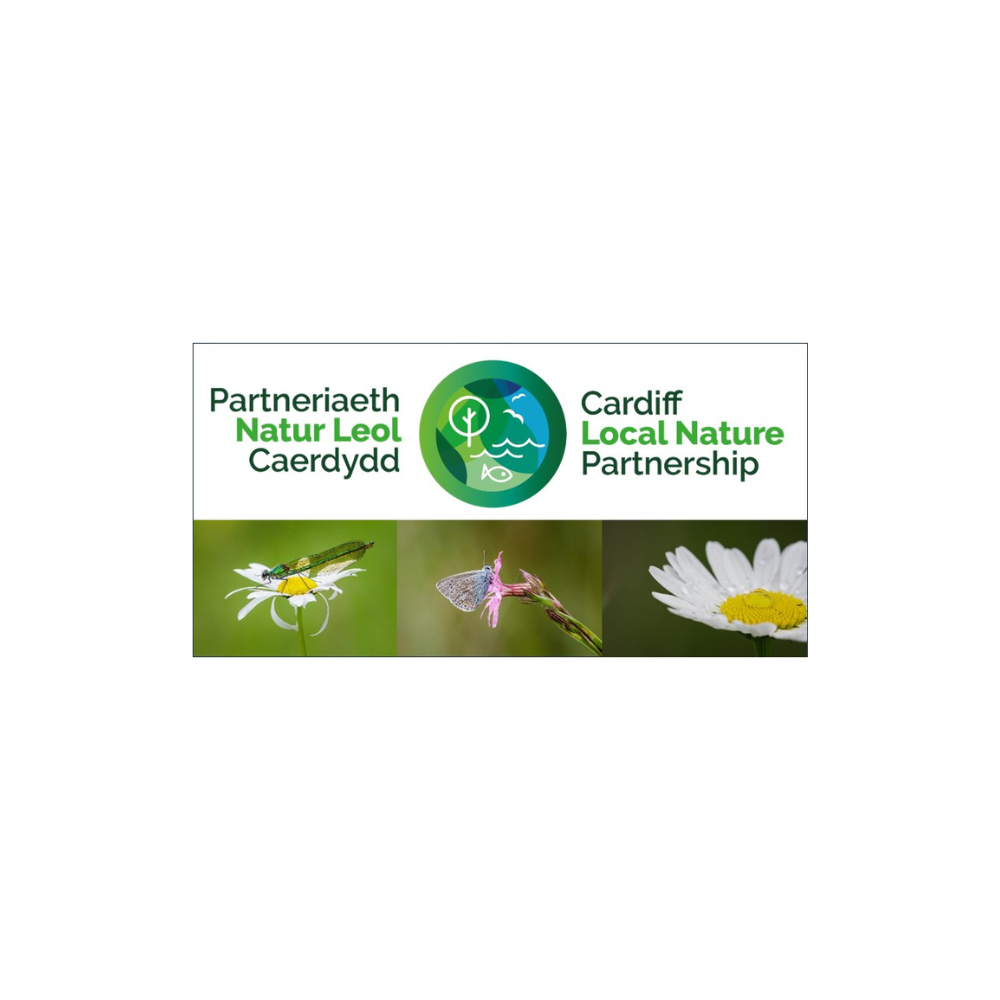 Call for the Cardiff Nature Recovery Action Plan | C3SC - Cardiff Third ...